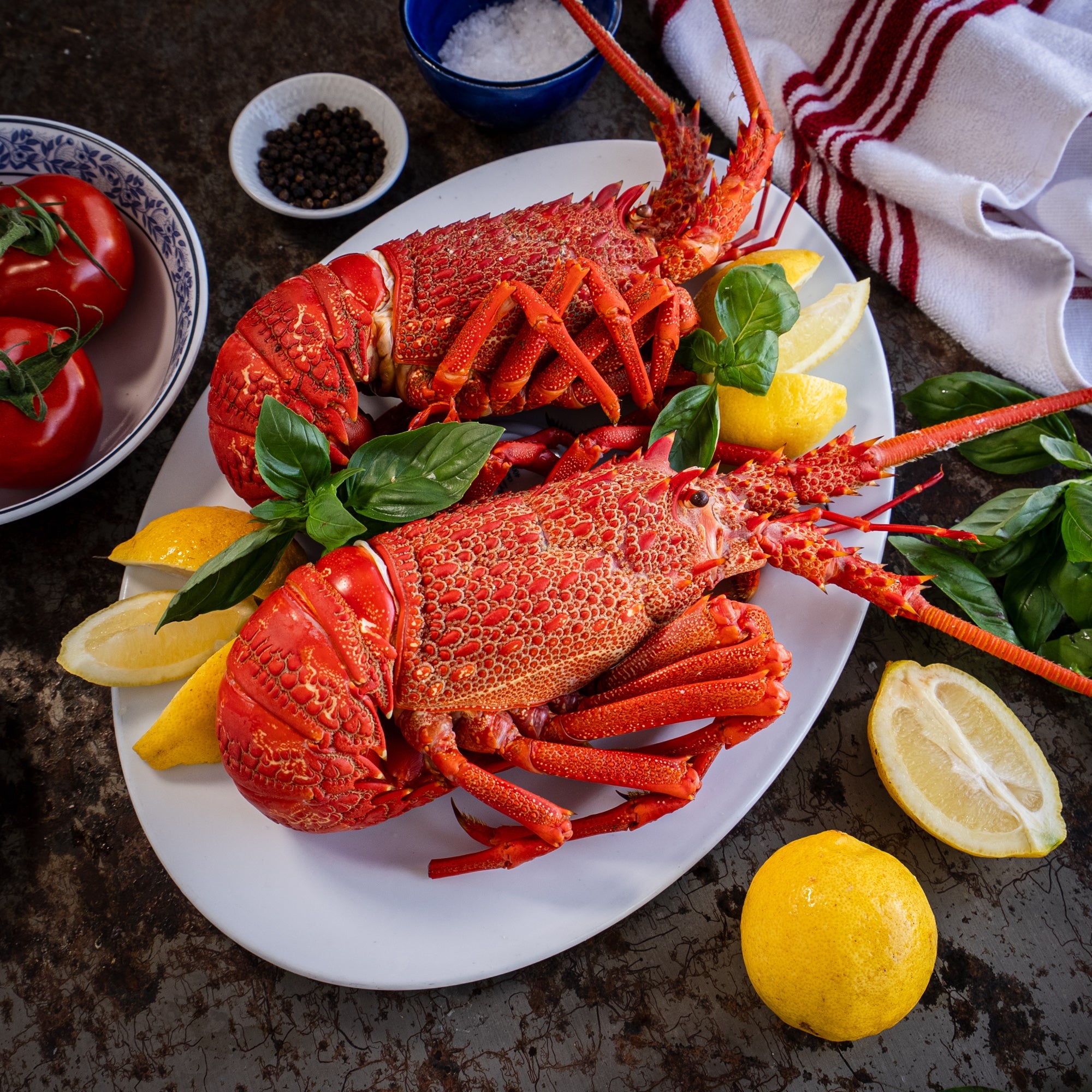 Crayfish, Lobster & Scampi – Wellington Seamarket