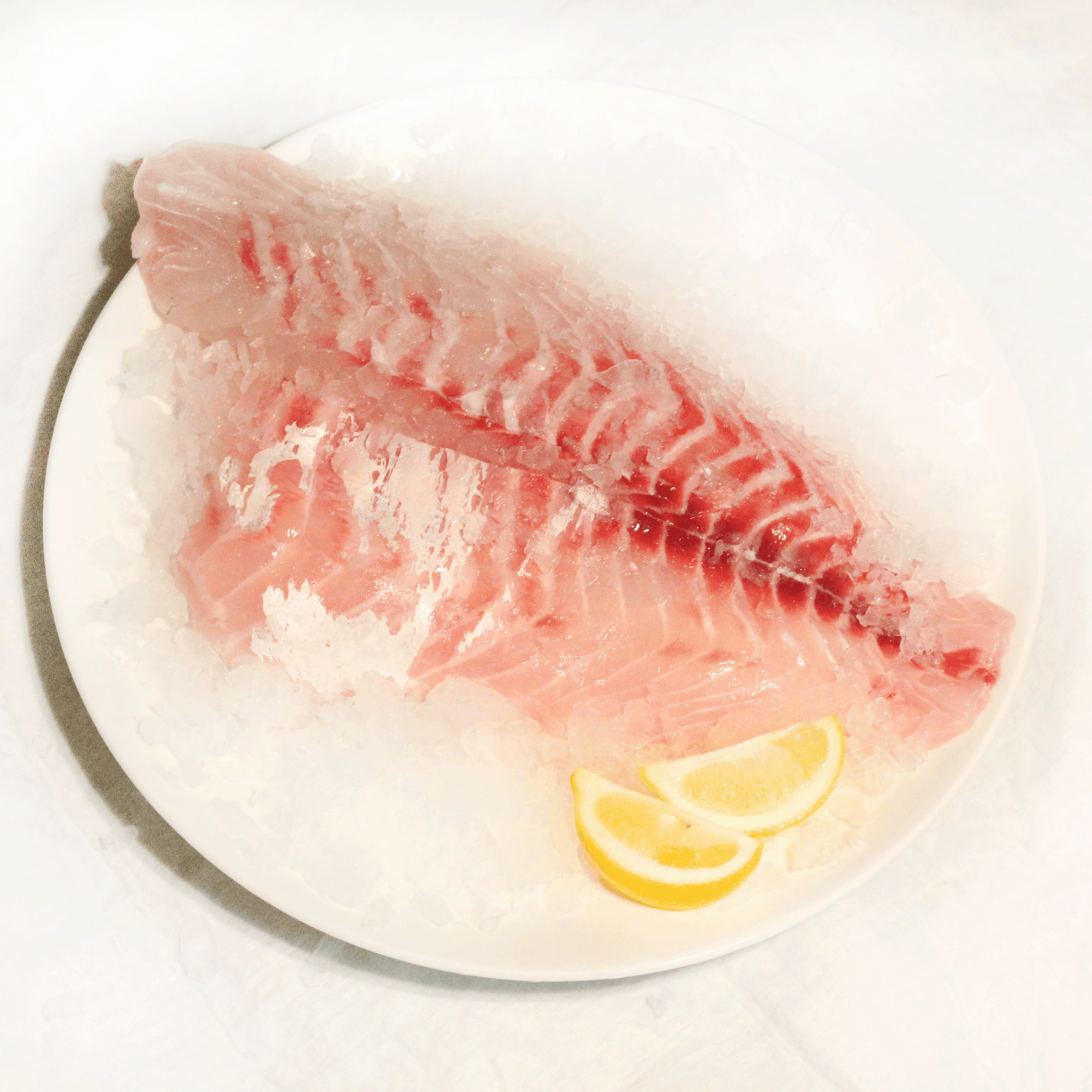 Wellington Seafood Market – Wellington Seamarket