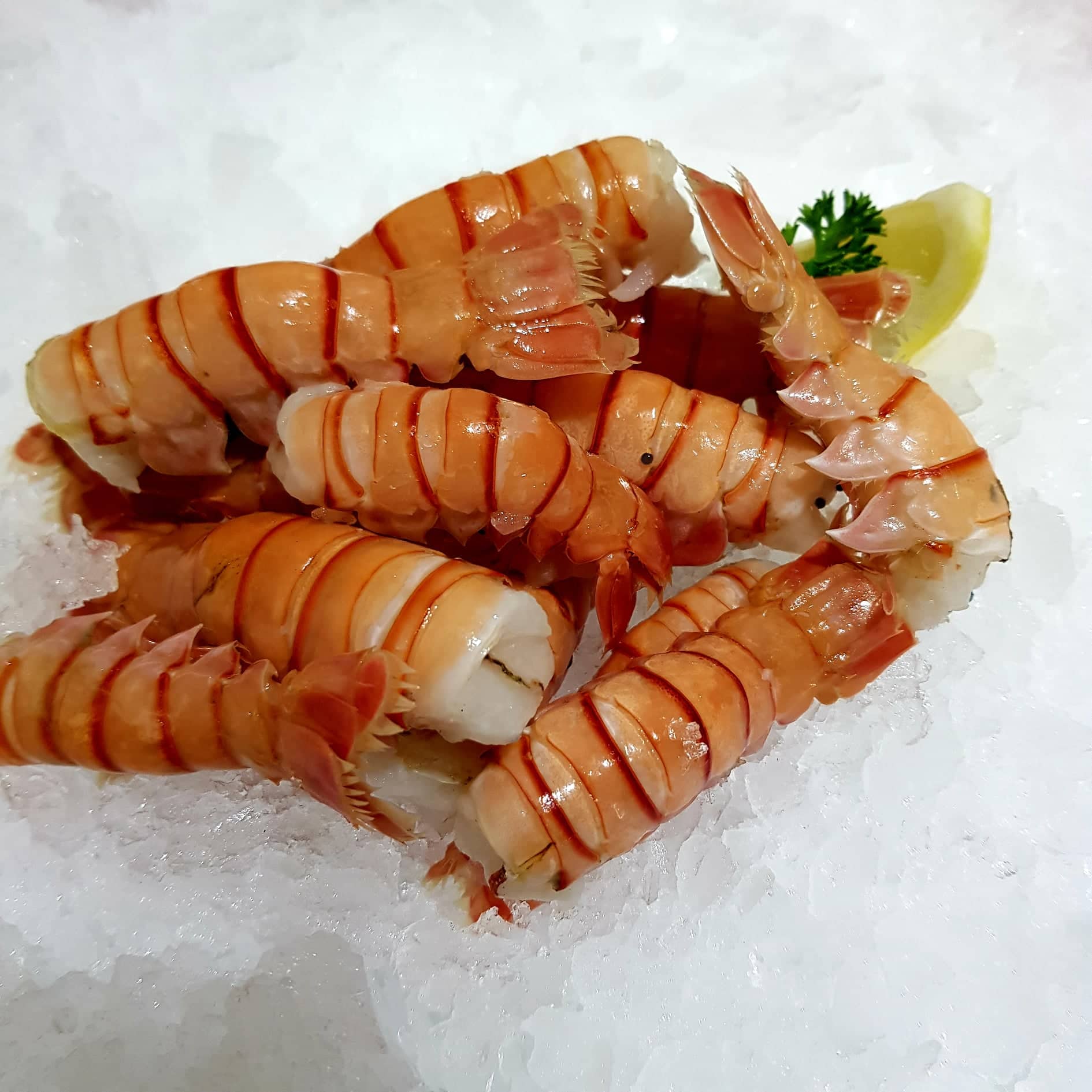 Scampi Tails (500g) - Wellington Seamarket