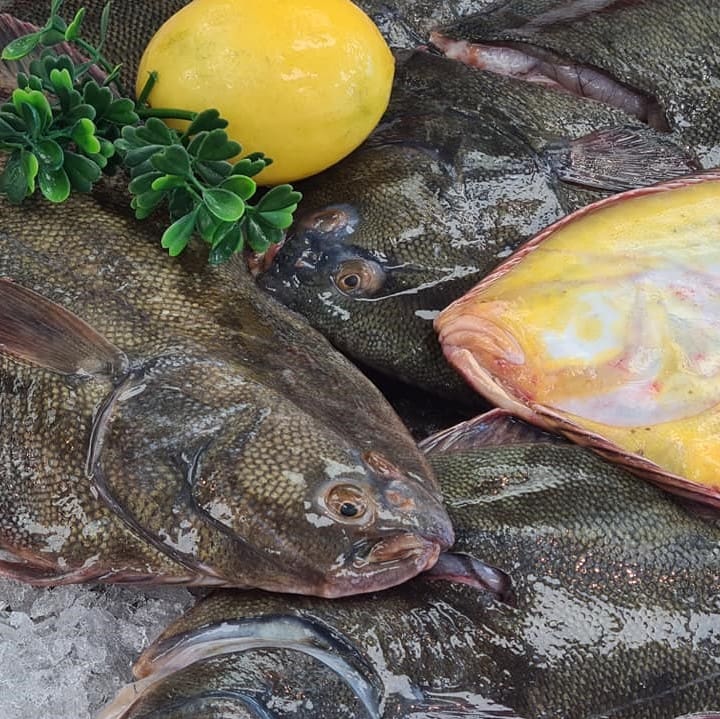 Yellow Belly Flounder - Gutted - Wellington Seamarket