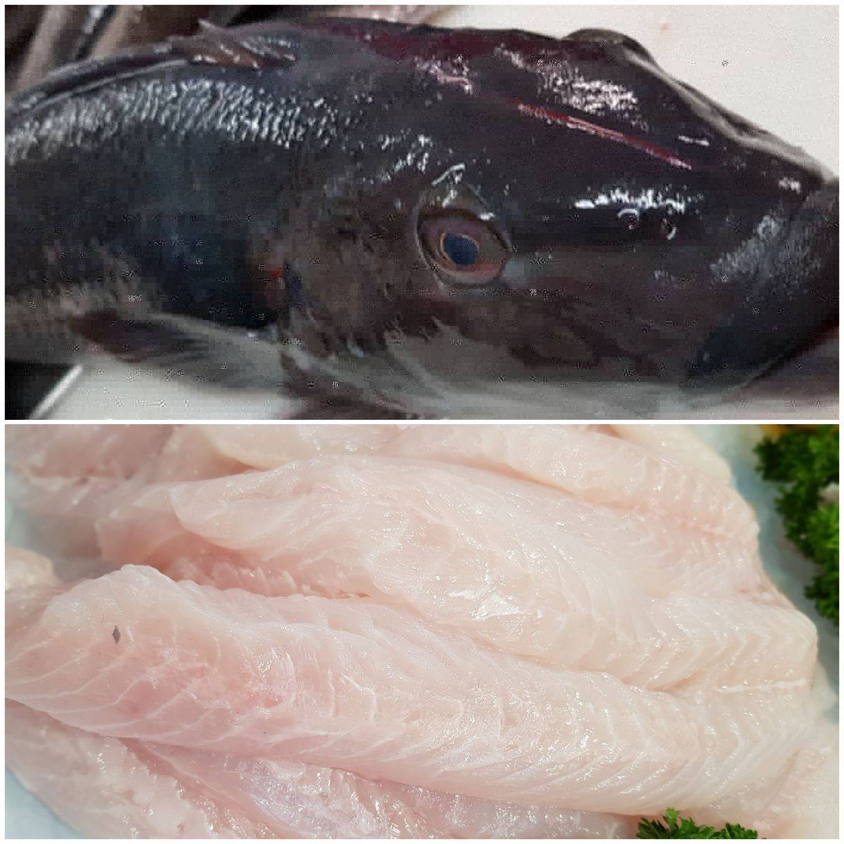 Blue Cod - Fillets, Skinned and Boned - Wellington Seamarket