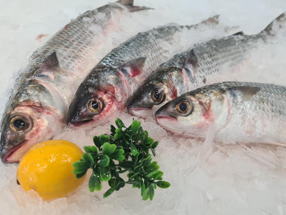 Mullet - Whole, Gilled, Gutted and Scaled - Wellington Seamarket