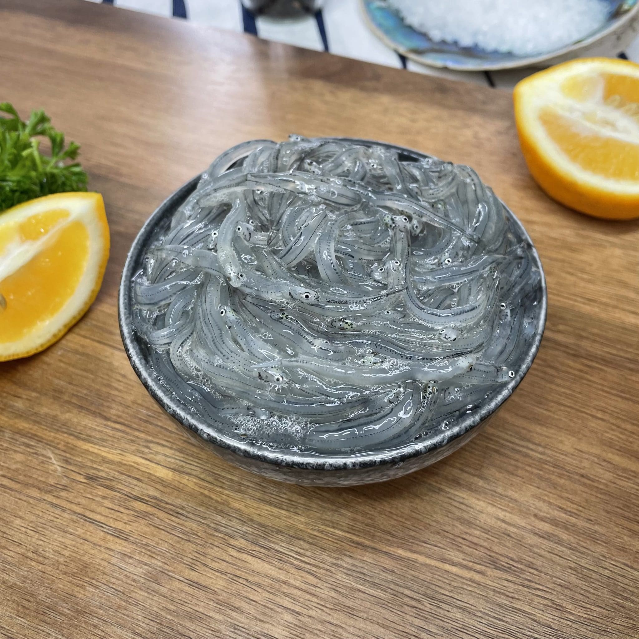 Wellington Seamarket | For the Freshest Fish in Wellington