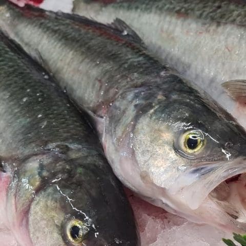 Kahawai - Whole, Gilled, Gutted and Scaled - Wellington Seamarket