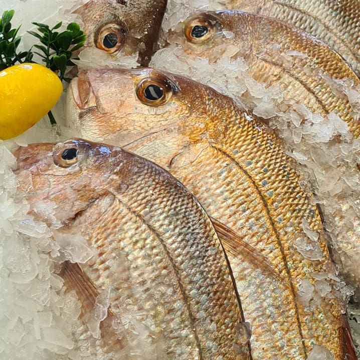Snapper - Whole, Gilled, Gutted and Scaled - Wellington Seamarket
