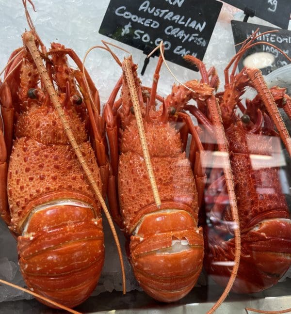W.A Cooked Crayfish - Wellington Seamarket