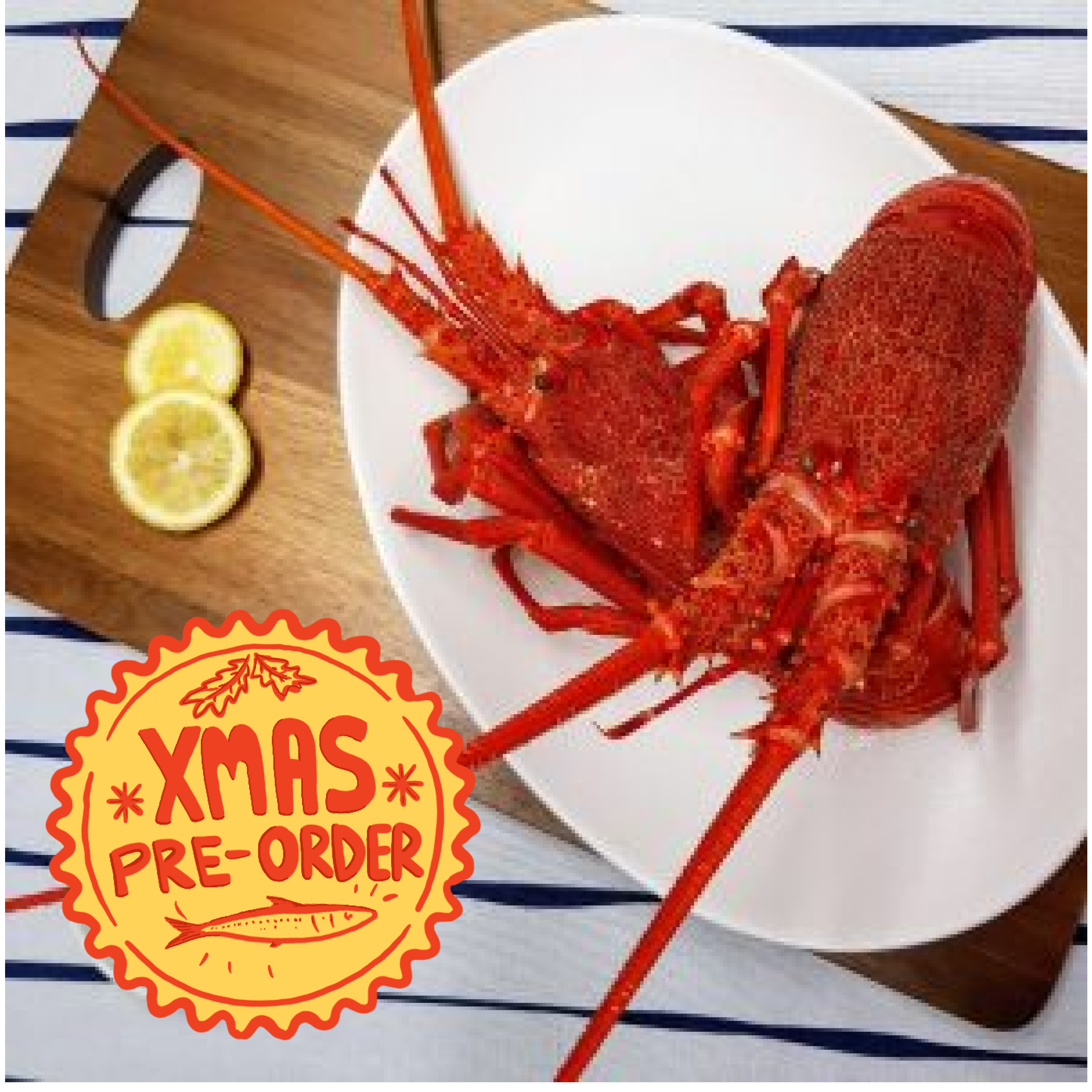 XMAS PRE-ORDER: New Zealand Cooked Crayfish - Wellington Seamarket