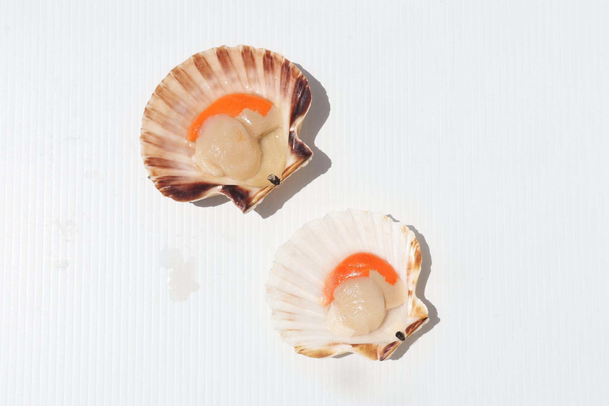 Half Shell Scallops (1kg) - Wellington Seamarket